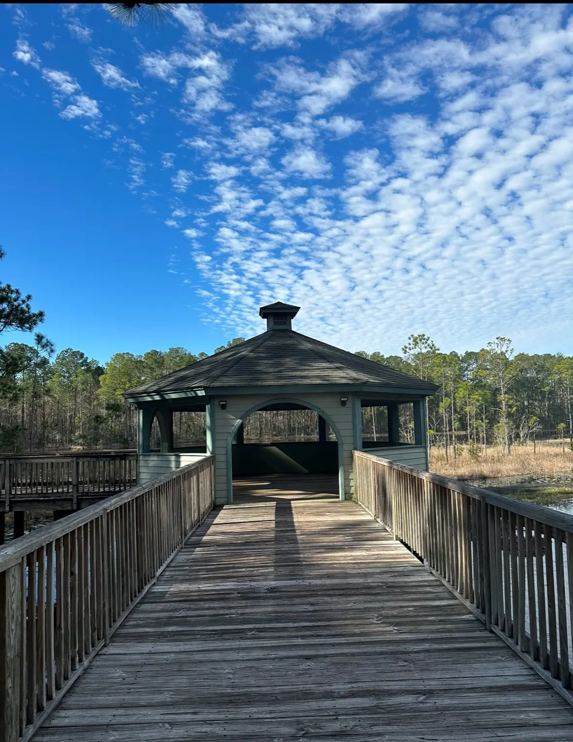 Sergeant Jasper Park | Jasper County